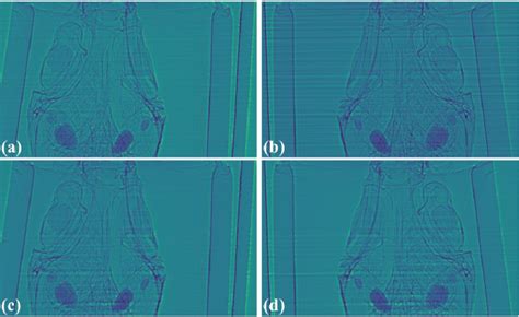 comparison between transmission images acquired using conventional download scientific diagram