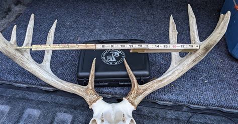 How To Score A Deer Union Sportsmen S Alliance