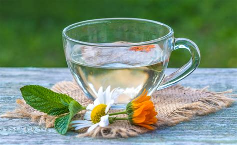 7 receitas de chás calmantes que vão te tranquilizar sabor