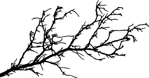 Tree Branch Silhouettes Png Transparent Onlygfx