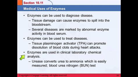 B Medical Uses Of Enzymes Youtube
