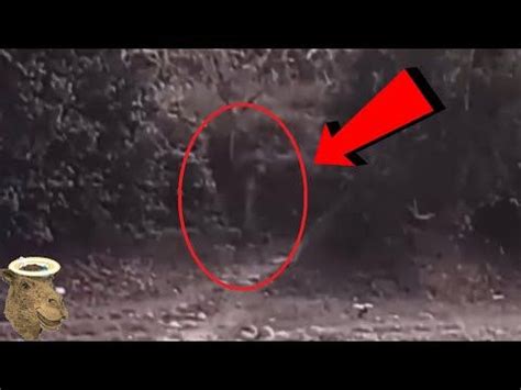 5 Extraterrestres Captados En Cámara Y Vistos En La Vida Real YouTube