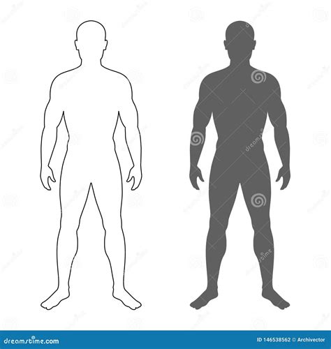 Contorno Do Corpo Humano BRAINCP