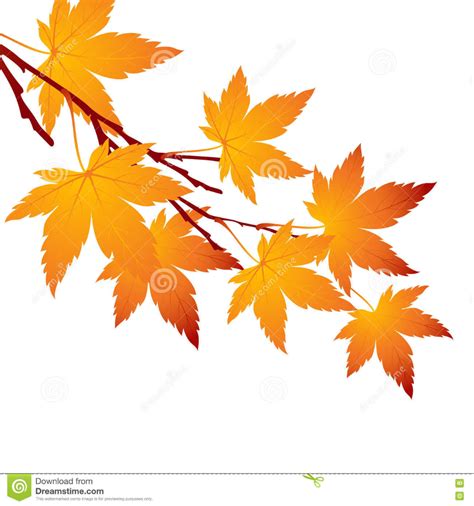 Branche D Rable De Feuille D Automne Illustration De Vecteur