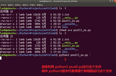 linux终端如何运行py文件【python代码文件】 ai技术聚合