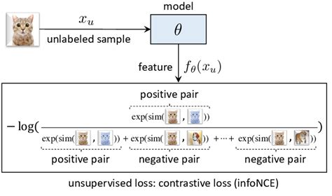 the unsupervised discriminative model using contrastive learning download scientific diagram