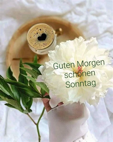 Pin Von Gaby Spieltundbastelthier Auf Sonntag Guten Morgen Sonntag