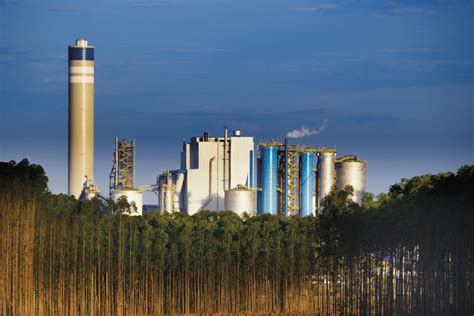 Suzano investirá R 14 7 bilhões na construção de nova fábrica de