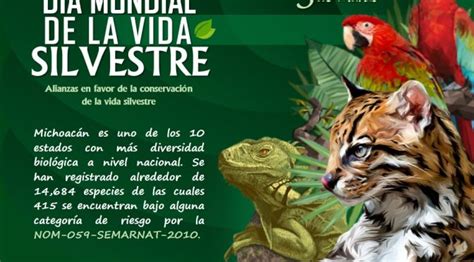 SECMA 3 de marzo Día Mundial de la Vida Silvestre