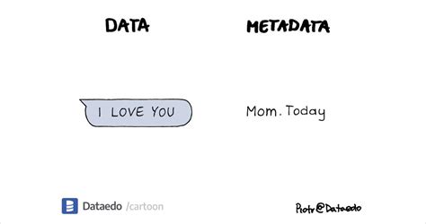 Data Vs Metadata Dataedo Data Cartoon