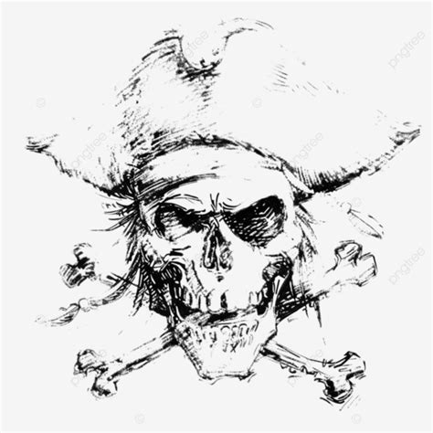 Dibujo De Calavera Pirata Con Tibias Cruzadas Png Dibujos Pirata