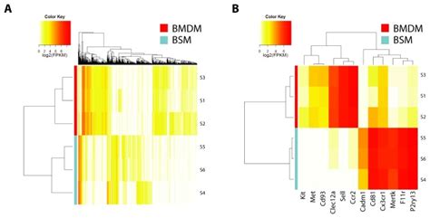 A A Heat Map Was Generated From Unsupervised Hierarchical Clustering