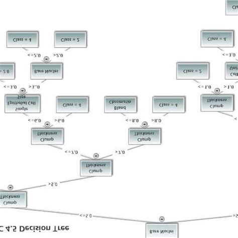 decision tree obtained using the c4 5 algorithm download scientific diagram