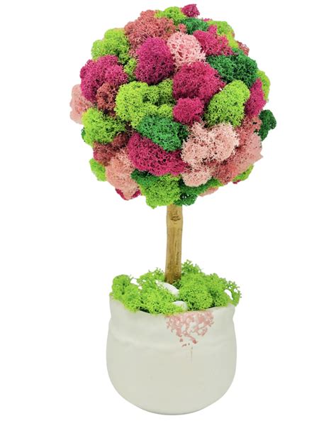 Aranjament Floral Personalizabil Mic 27 Cm Tip Copacel Pomisor Cu