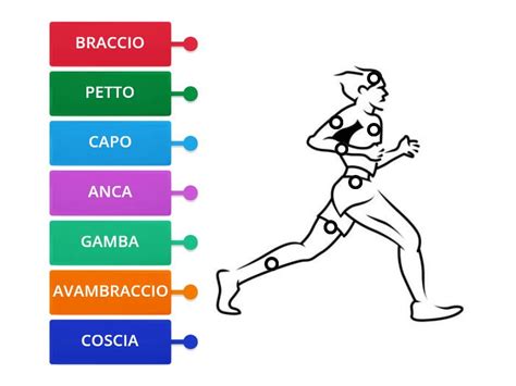 Le Parti Del Corpo Labelled Diagram