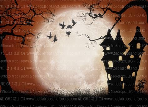 Halloween Haunted House Photography Backdrop Night Moon Bats Trick