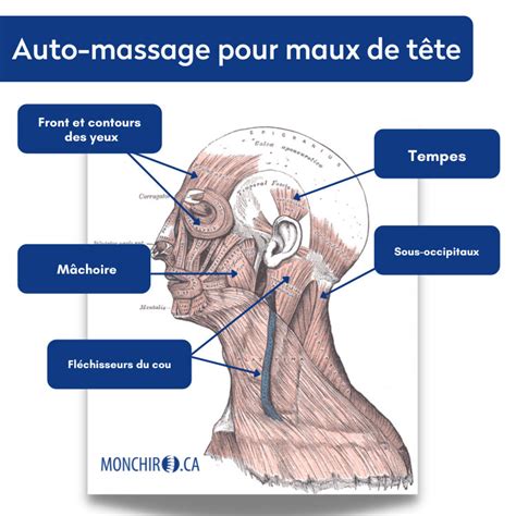 Faites vous partie de ces personnes qui ont régulièrement de La Vie