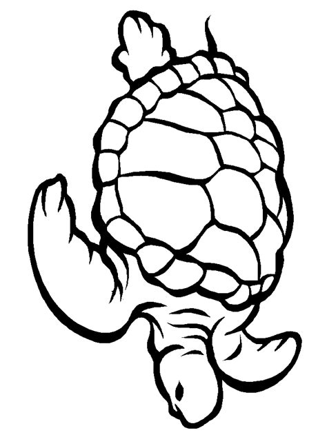 Tartarughe 4 Disegni Per Bambini Da Colorare