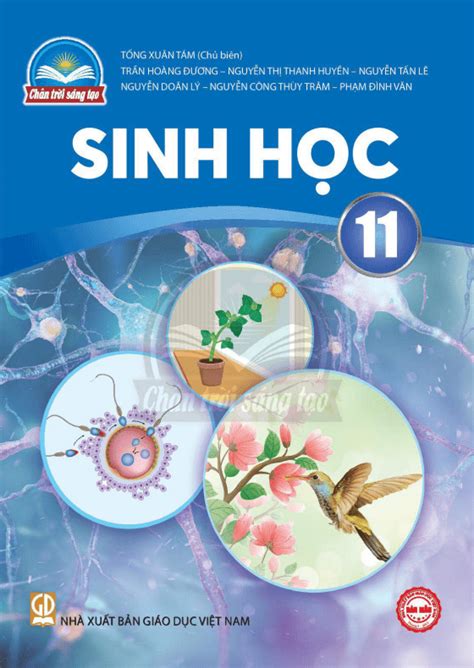 Sách giáo khoa Hoạt động trải nghiệm hướng nghiệp 11 Chân Trời Sáng