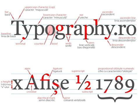 Essential Typography Rules Before Developing Your Skillset