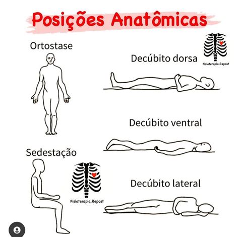 Qual A Importância Da Posição Anatômica LIBRAIN