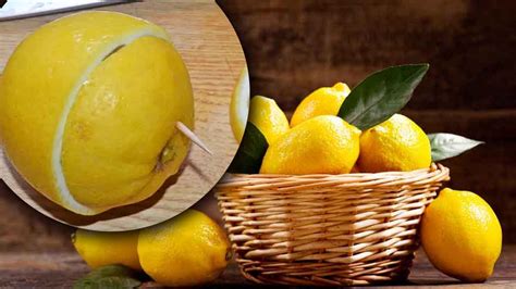 Conserver les citrons voici lastuce incontournable pour éviter de