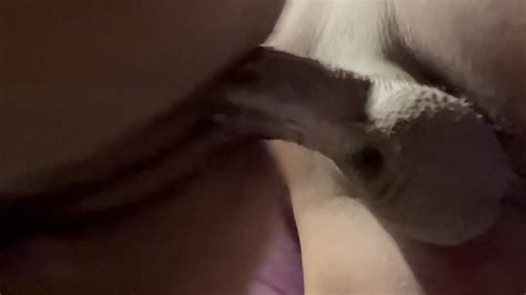 Damnthatpussy Free Leaked Porn Videos EroHive