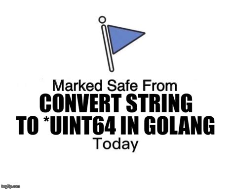meme overflow on twitter convert string to uint64 in golang luivpn1iaj go