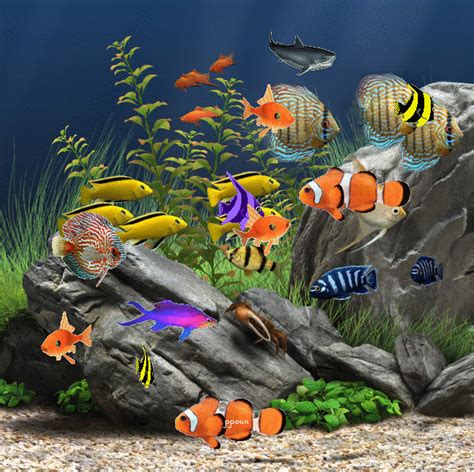 Aquarium Anim