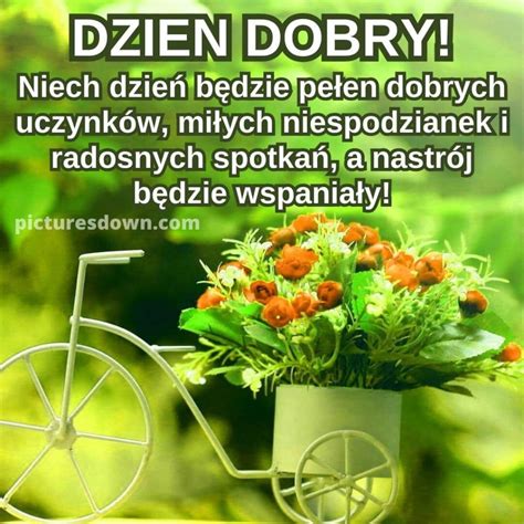 Kartka Na Dzie Dobry Ycz Kwiaty Picturesdown