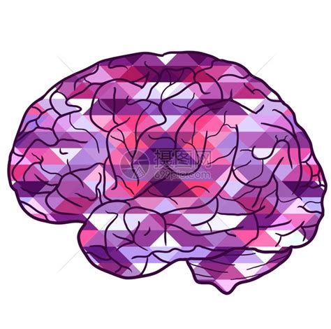 彩色手绘人类大脑插画图片下载 正版图片303723040 摄图网