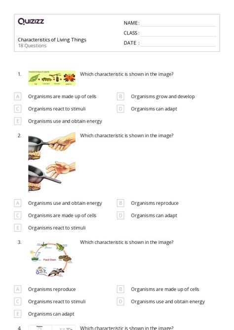 50 Living And Non Living Things Worksheets For 10th Year On