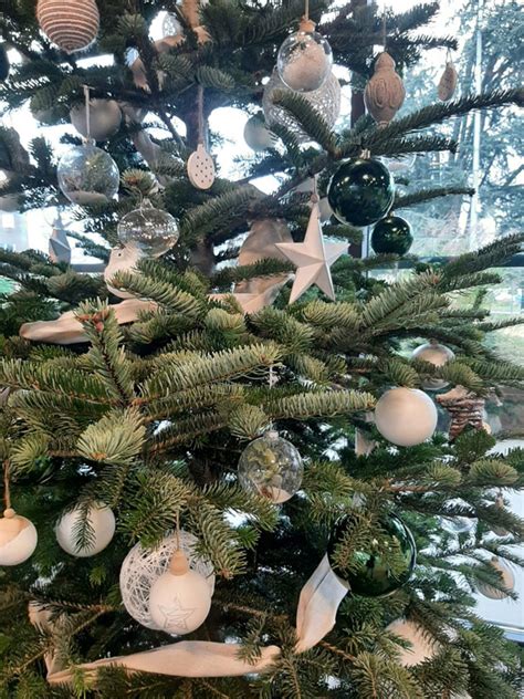 Livraison et l installation de nos sapins de Noël pour votre établissement