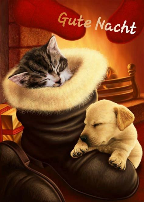 Pin von Petra Hennek auf Gute Nacht Gute nacht Gute nacht grüße