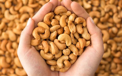 A Comprehensive Breakdown On The Health Benefits Of Cashews