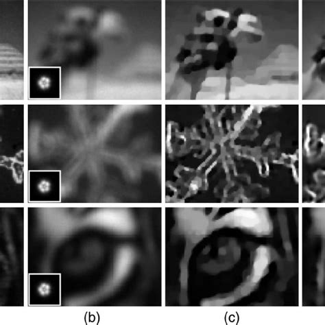 digital refocusing image samples using a medium defocus a focused download scientific