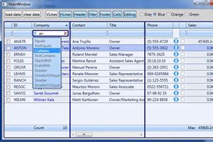 WPF ListView Which Can Do Sorting Filtering Totals Cell Focus