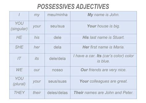 Pronomes Possessivos Em Inglês SOLOLEARN