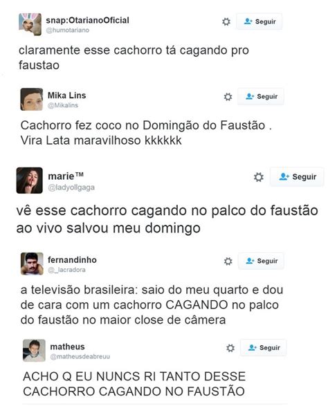 EGO Cachorro faz cocô no palco do Domingão e deixa dona sem graça