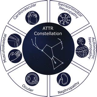 Musculoskeletal Manifestations Associated With ATTR Amyloidosis