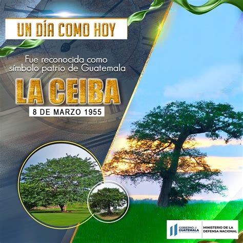 Monumento A La Ceiba Guatemala