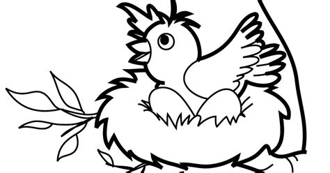 35 Última Desenho Para Colorir Passarinho No Ninho Alyshia Kanters Blogs
