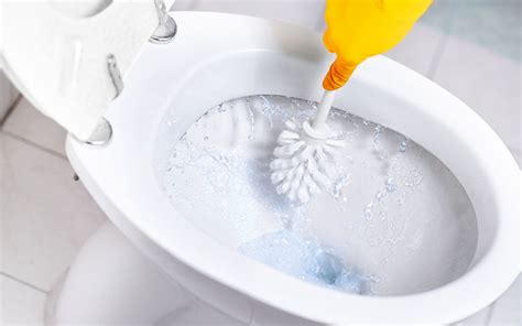 Comment Bien Nettoyer Une Brosse De WC Decodambiance