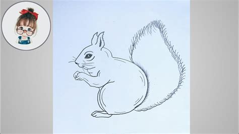 Easy Squirrel Sketch How To Draw A Squirrel Easy Step By Step