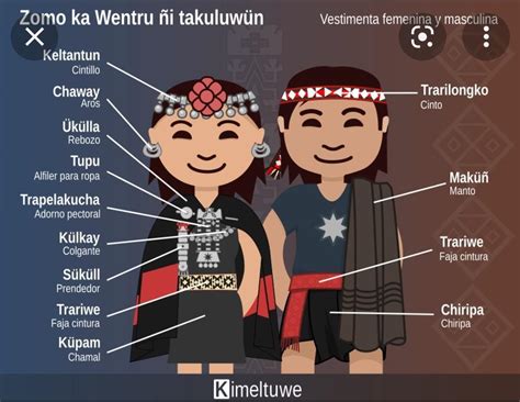 Como se vestían los mapuches Brainly lat