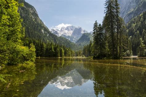 4K Gosau Austria Mountains Forests Lake Scenery Spruce HD