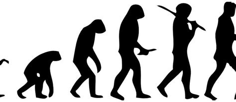 Homo Sapiens Evolution Timeline