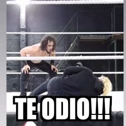 Meme Personalizado Te Odio 33109153