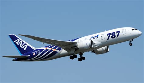 Programa Ana Vuelo Tokio Ciudad De M Xico Opportimes