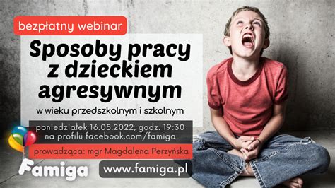 Webinar 94 Sposoby Pracy Z Dzieckiem Agresywnym Famiga